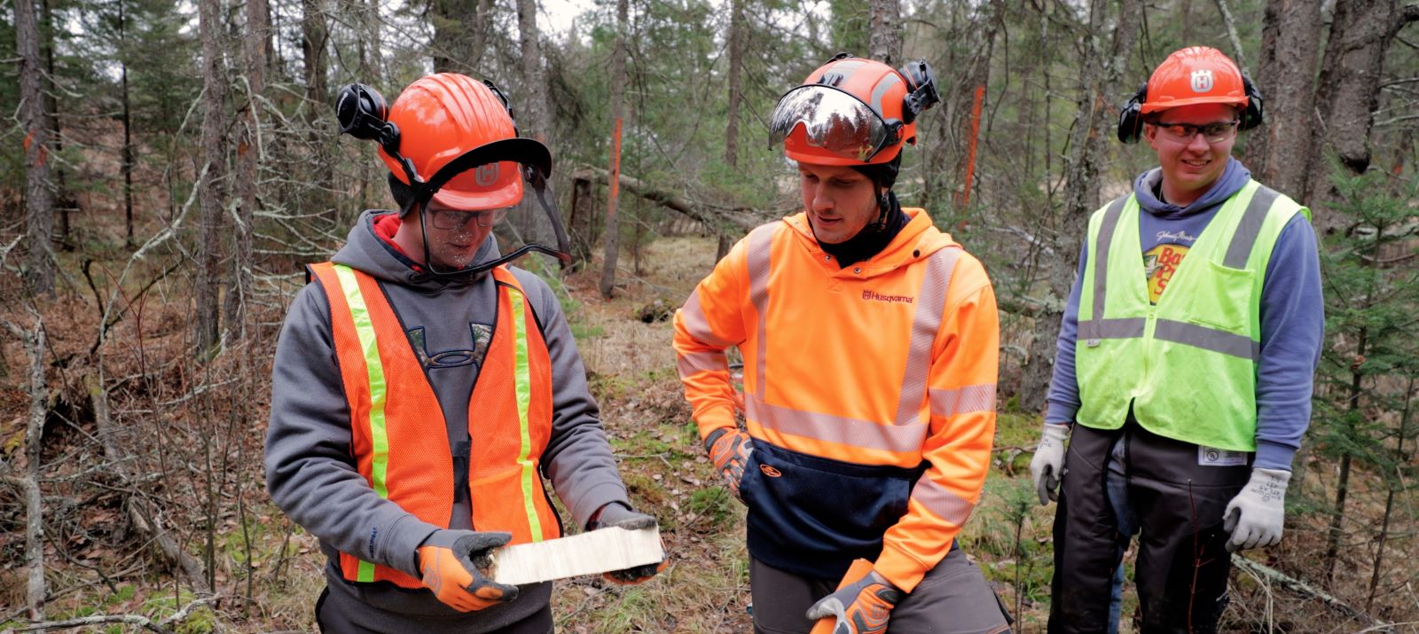 FORESTRY - Forestry | University of Wisconsin-Stevens Point Catalog